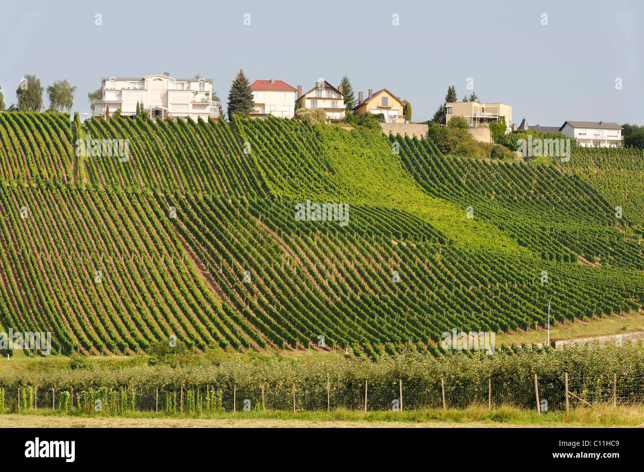 Remich hi-res stock photography and images - Alamy