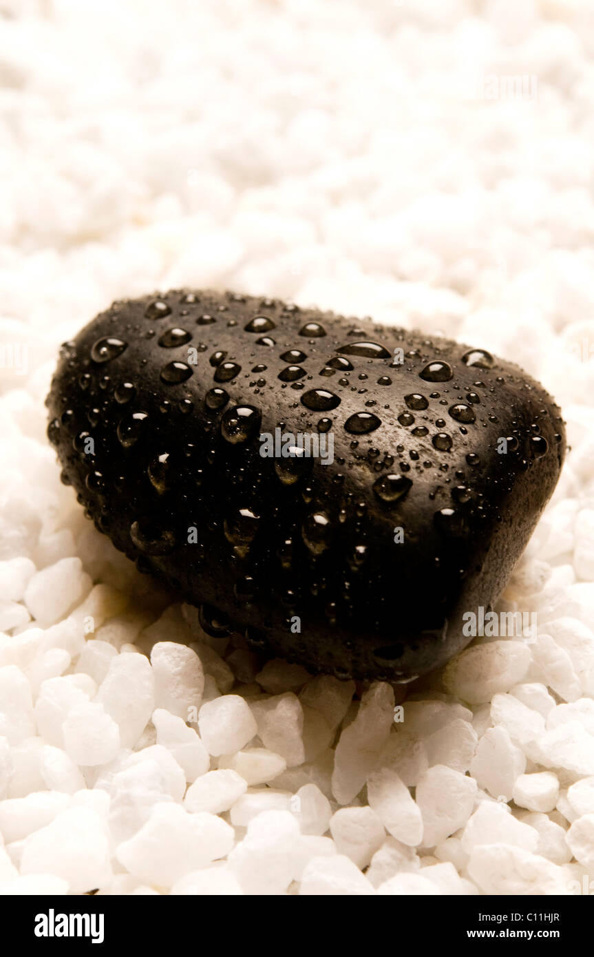 black stone covered with water drops on white pebbles, zen and ...