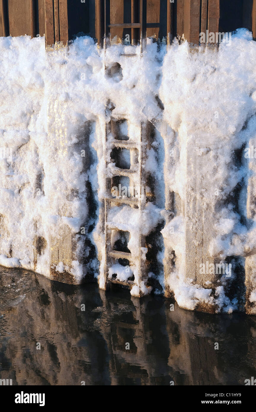 Icy ladder on a quay wall in the port of Hamburg, Elbe river, Hamburg ...