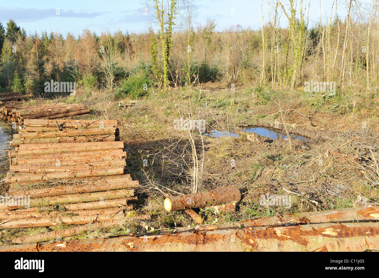 Wood chock hi-res stock photography and images - Alamy