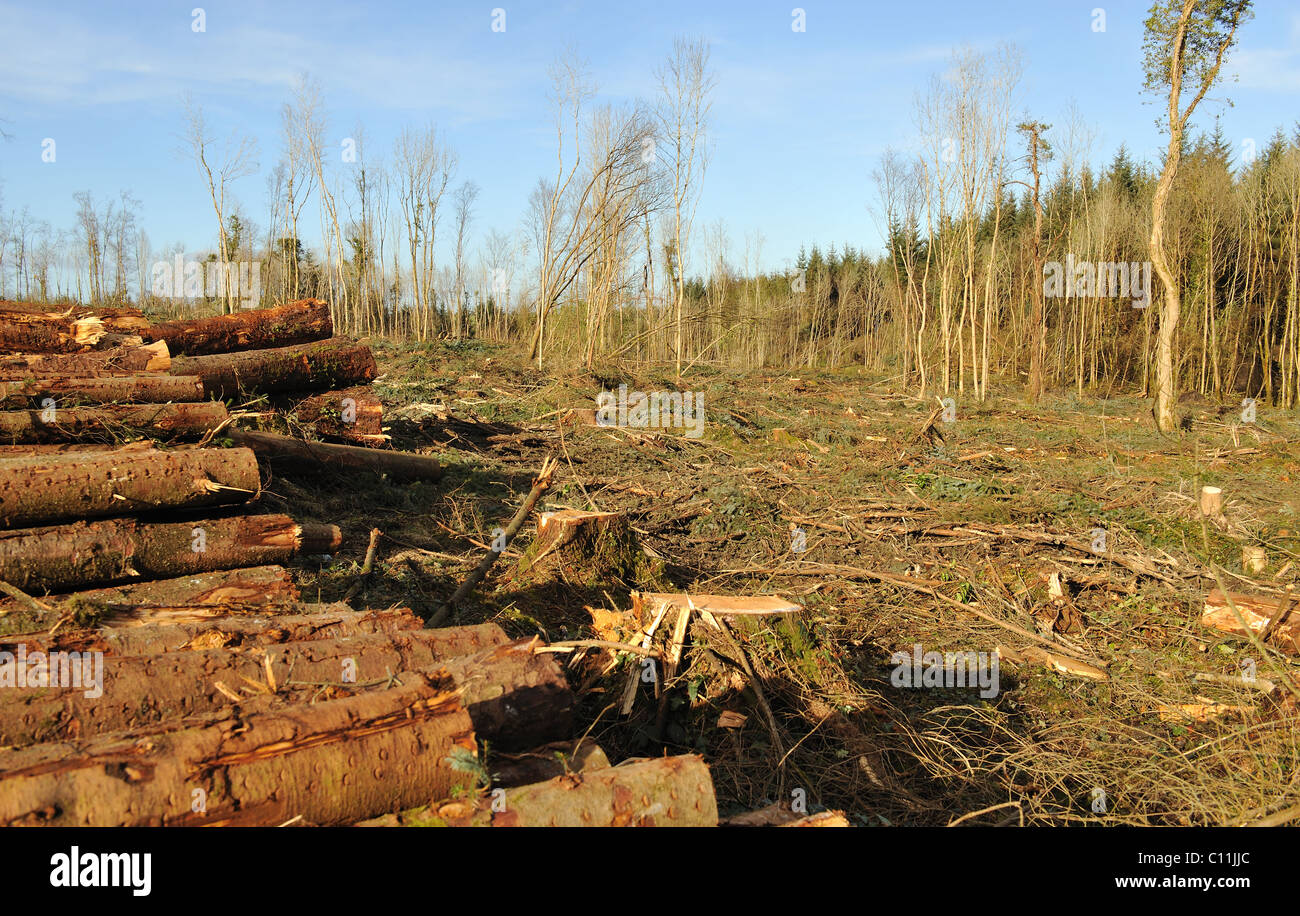 Wood chock hi-res stock photography and images - Alamy