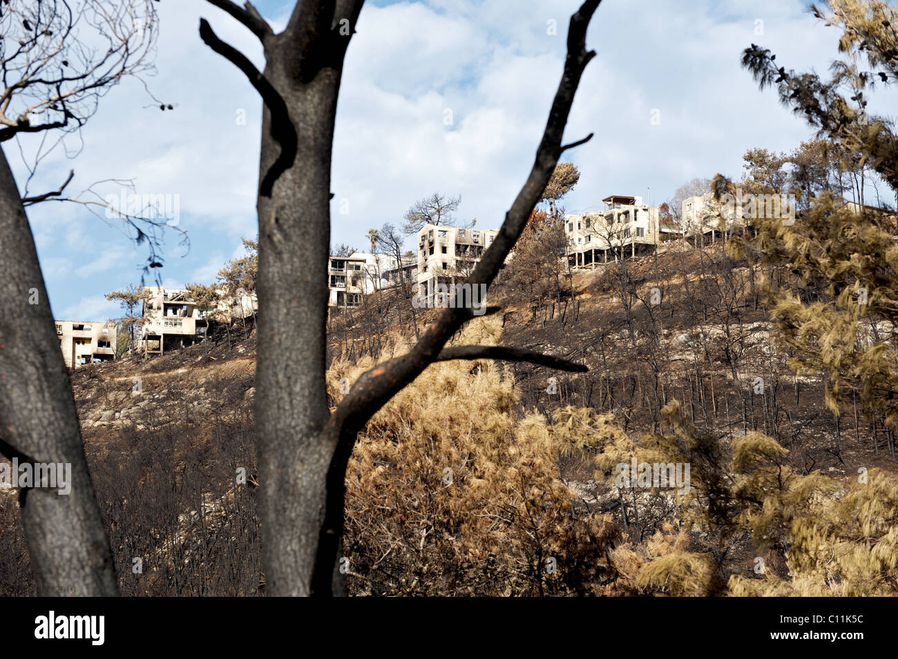 The Beit oren kibutz after the Carmel's big fire Stock Photo - Alamy