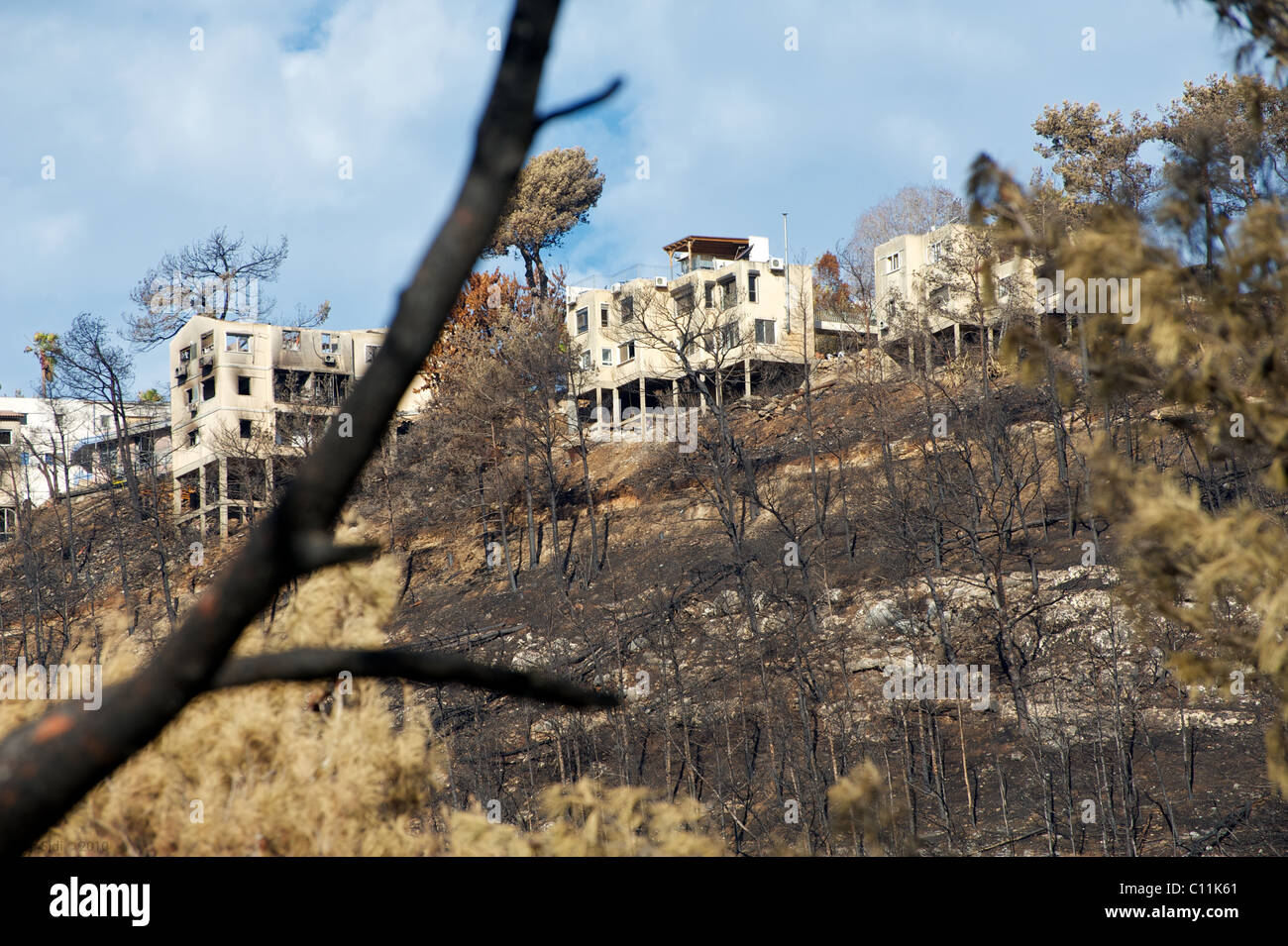The Beit oren kibutz after the Carmel's big fire Stock Photo - Alamy