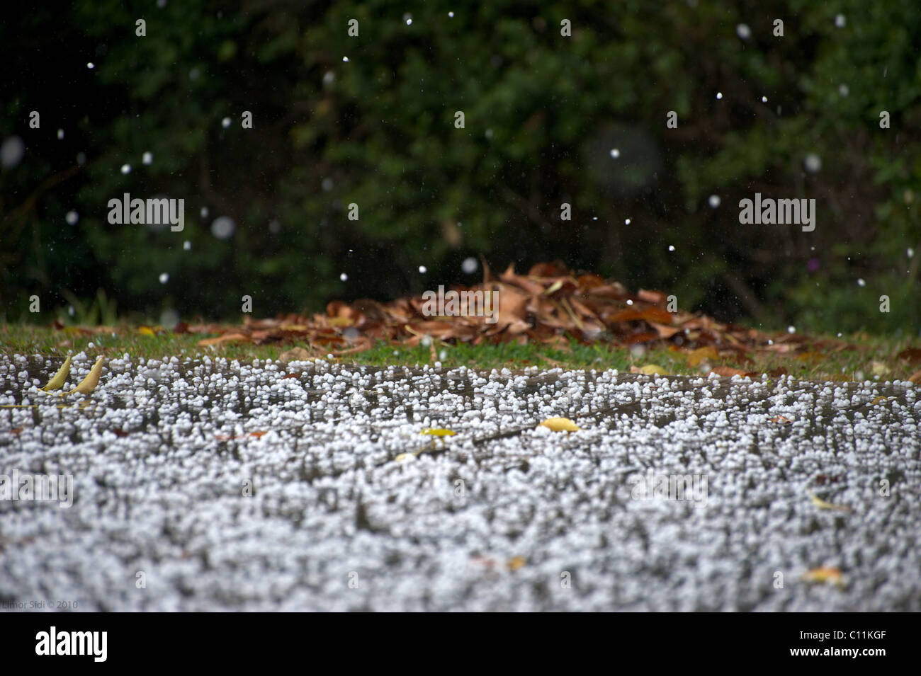 Hail hi-res stock photography and images - Alamy