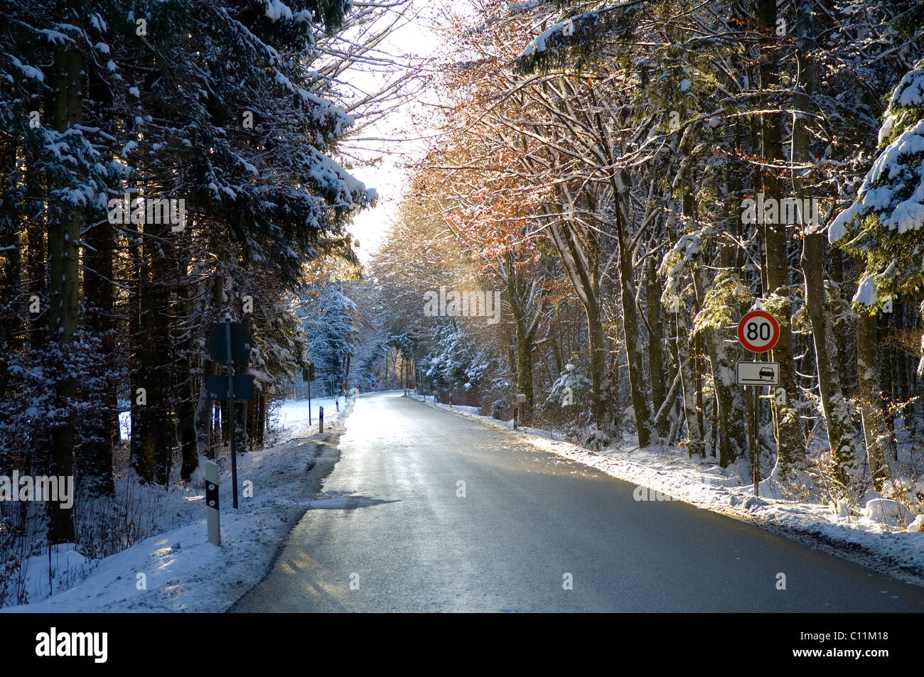 Wintery road leading through a sunny mixed forest, Bavaria, Germany ...