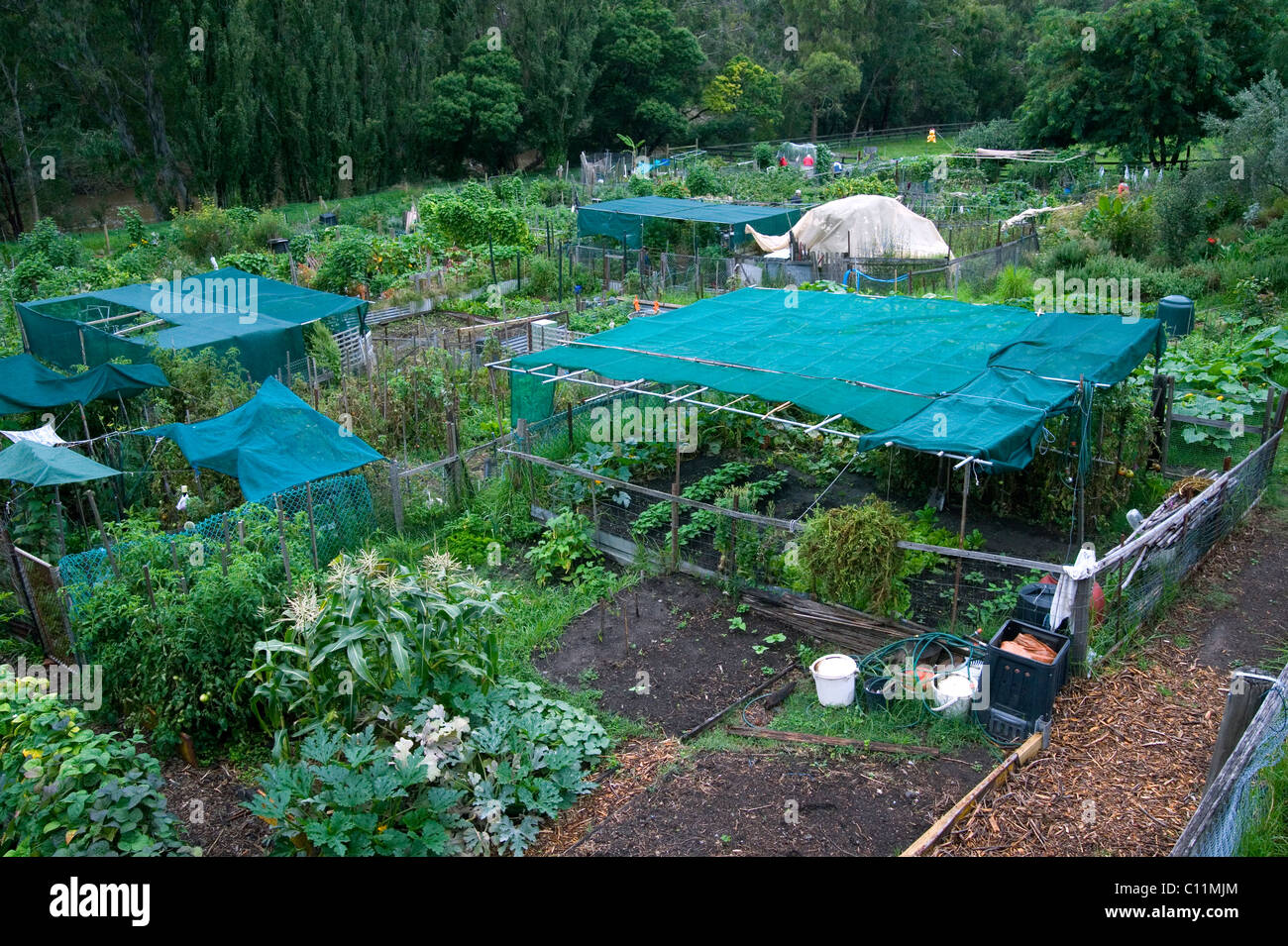 Allotments city hi-res stock photography and images - Alamy