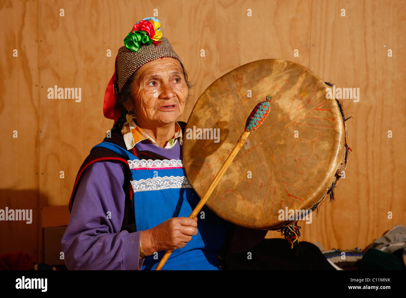 Mapuche woman, shaman, Bio-Bio region, Chile, South America Stock Photo ...