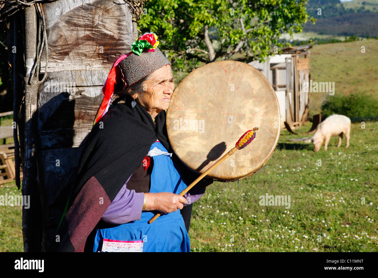 Mapuche woman, shaman, Bio-Bio region, Chile, South America Stock Photo ...
