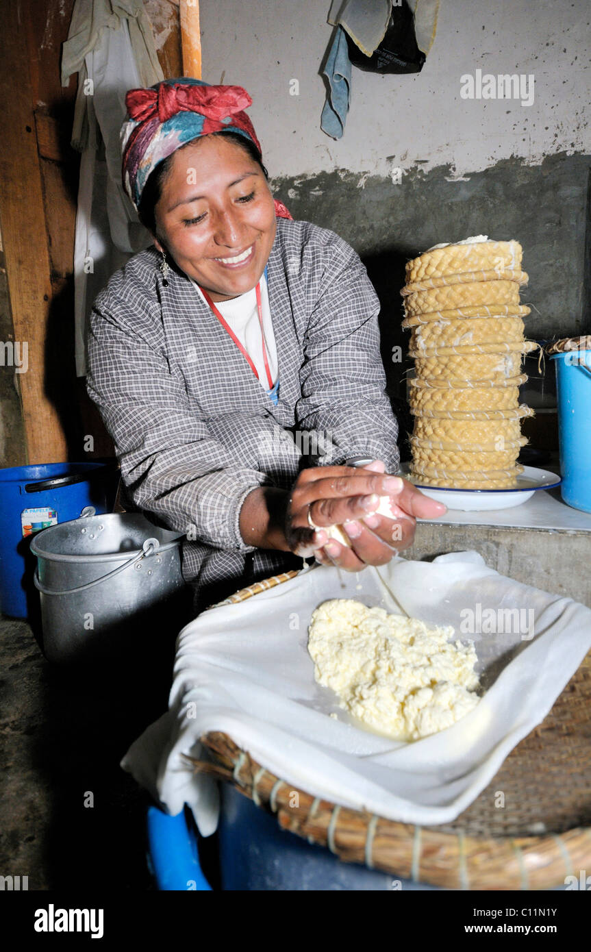 Production of fresh cheese in the Penas Valley, Departamento Oruro ...
