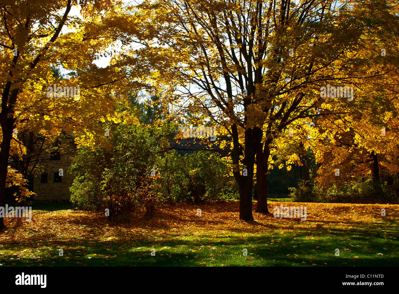 Woodside park hi-res stock photography and images - Alamy