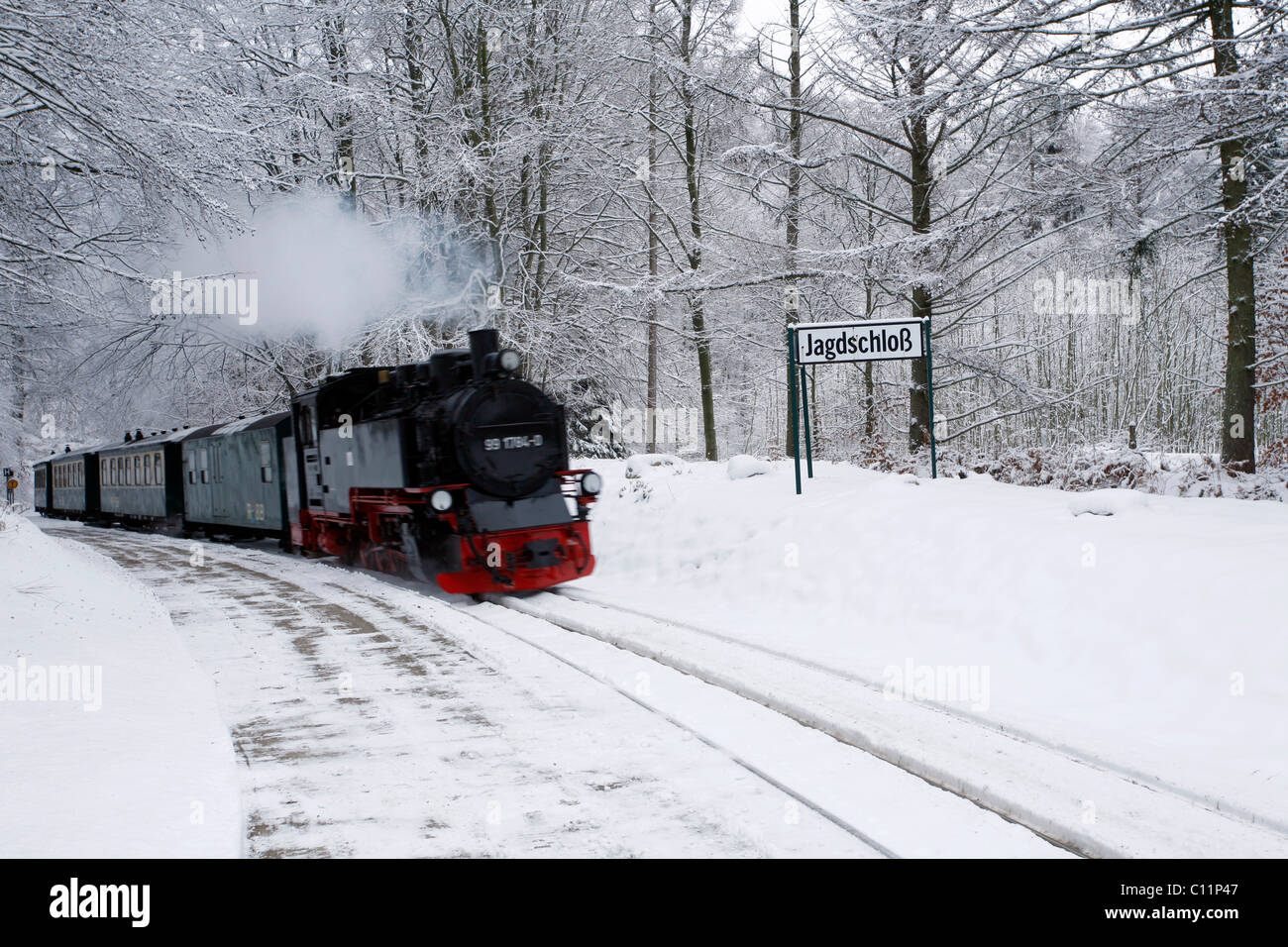 Rasender Roland' narrow gauge railway, Ruegen Island, Mecklenburg ...