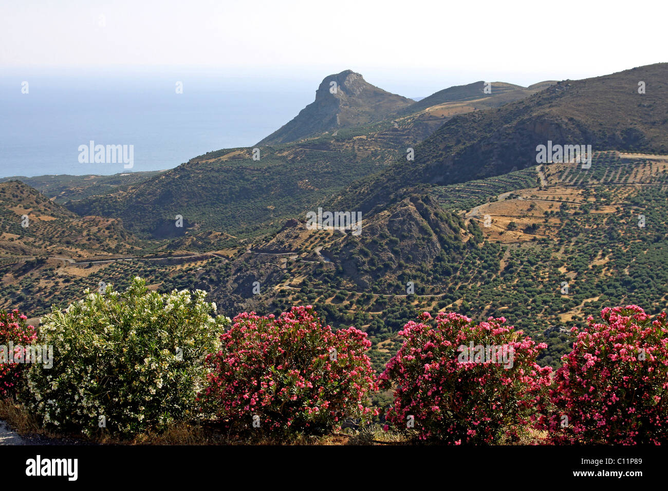 Dikti mountains, Dikti Oros, Crete, Greece, Europe Stock Photo - Alamy