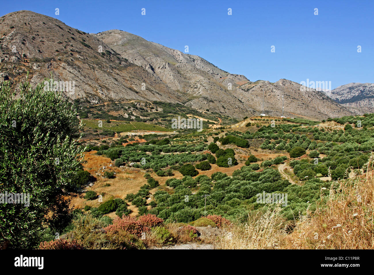 Dikti mountains, Dikti Oros, Crete, Greece, Europe Stock Photo - Alamy