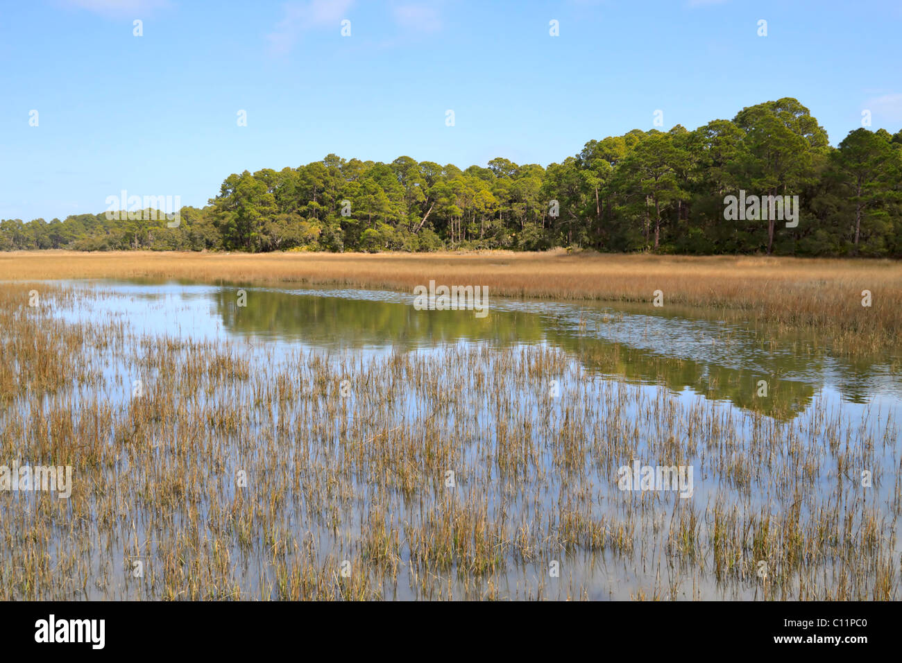 Pluff mud and sea marsh of Johnson Creek, Hunting Island State Park ...