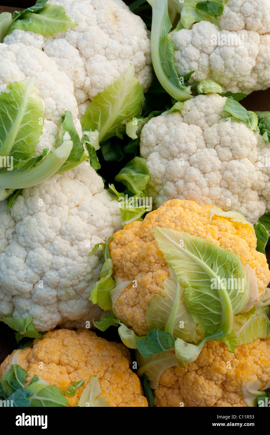 California vertical farming hi-res stock photography and images - Alamy