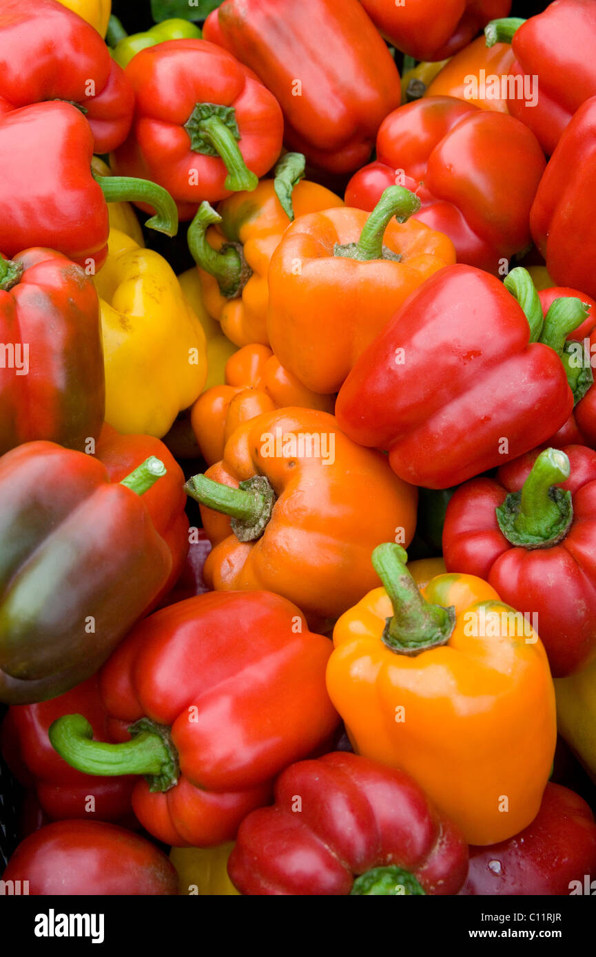 Capsicum peppers hi-res stock photography and images - Alamy