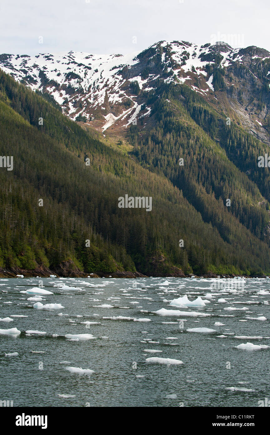 Alaska. Iceberg in LeConte Bay, Southeast Alaska Stock Photo - Alamy