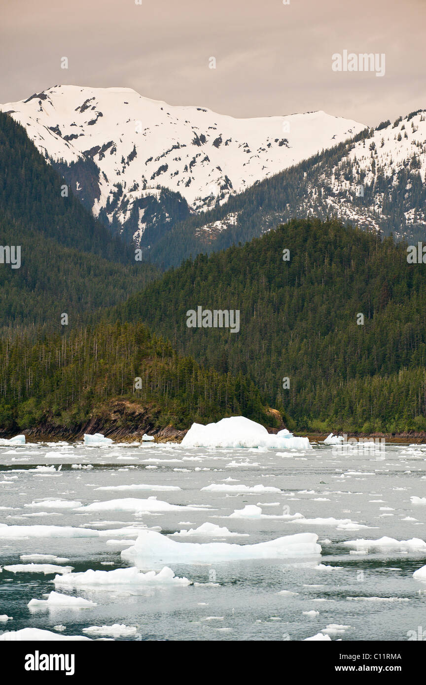 Alaska. Iceberg in LeConte Bay, Southeast Alaska Stock Photo - Alamy