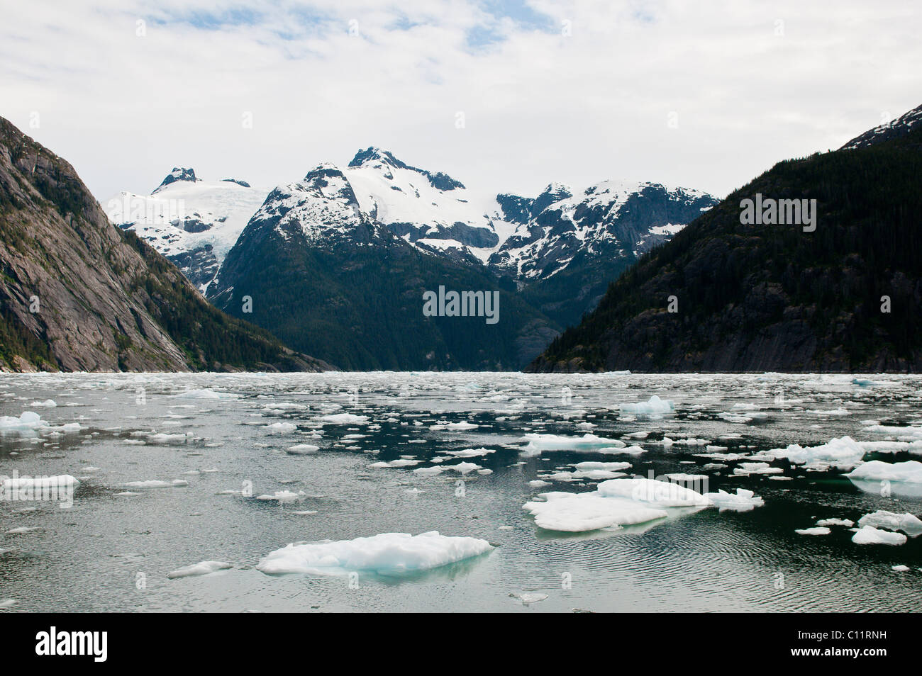 Alaska. Pack ice in LeConte Bay, Frederick Sound, Tongass National ...