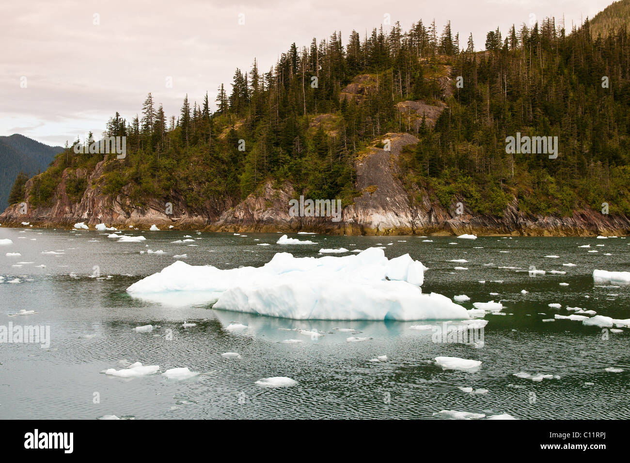Alaska. Iceberg in LeConte Bay, Southeast Alaska Stock Photo - Alamy
