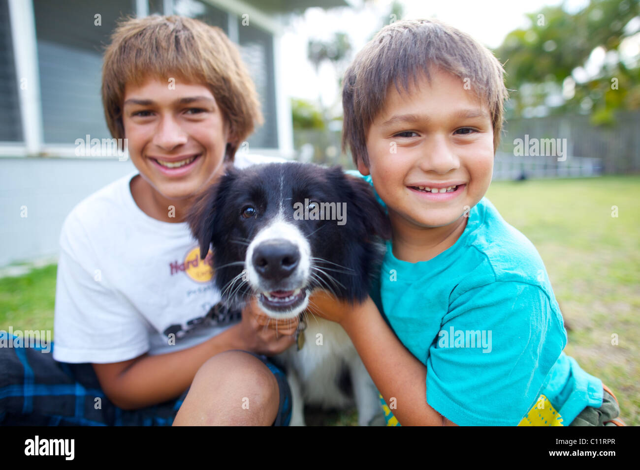Two boys with their dog (Border Collie Stock Photo - Alamy