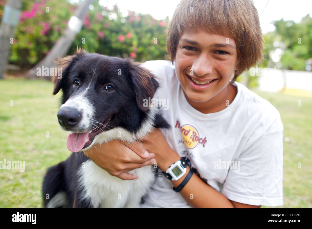 Boy with his Border Collie Stock Photo - Alamy