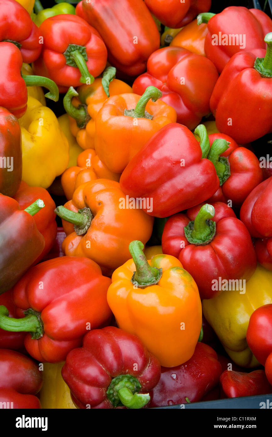 Capsicum peppers hi-res stock photography and images - Alamy