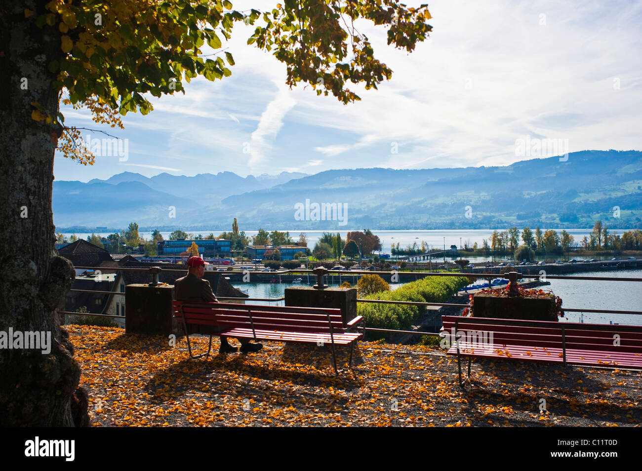 Schlossberg castle hill with Lake Zurich and Glarus Alps, Rapperswil ...