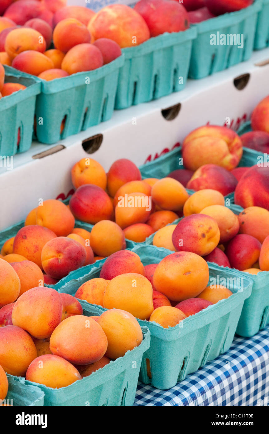 Copyright info hi-res stock photography and images - Alamy