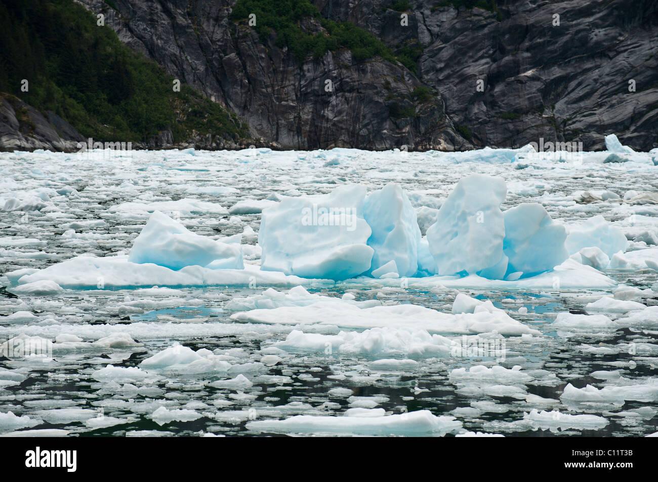 Alaska. Glacier blue ice iceberg in LeConte Bay, Southeast Alaska Stock ...