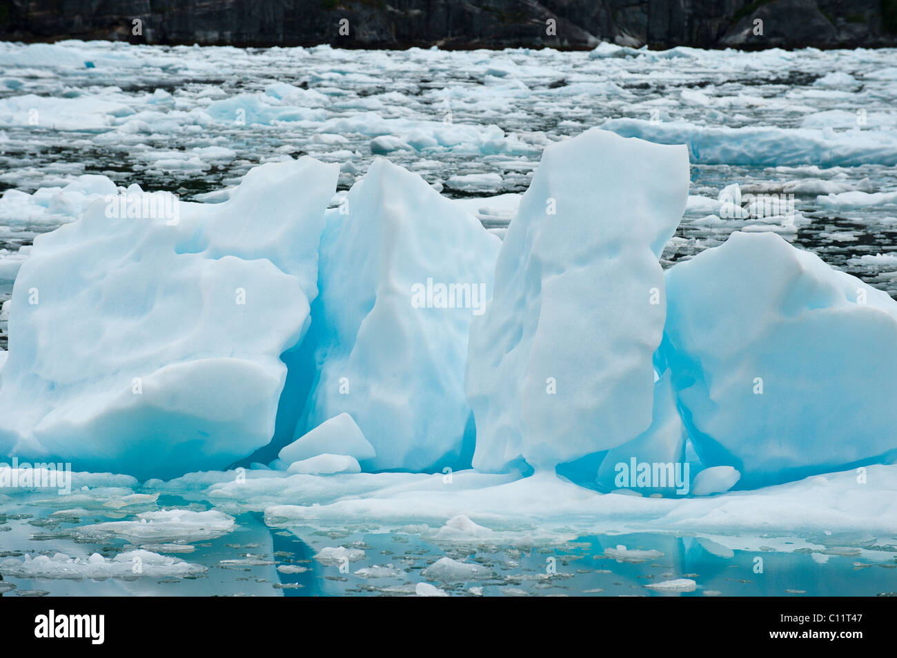 Alaska. Glacier blue ice iceberg in LeConte Bay, Southeast Alaska Stock ...