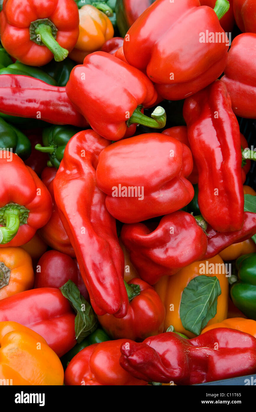 Capsicum peppers hi-res stock photography and images - Alamy