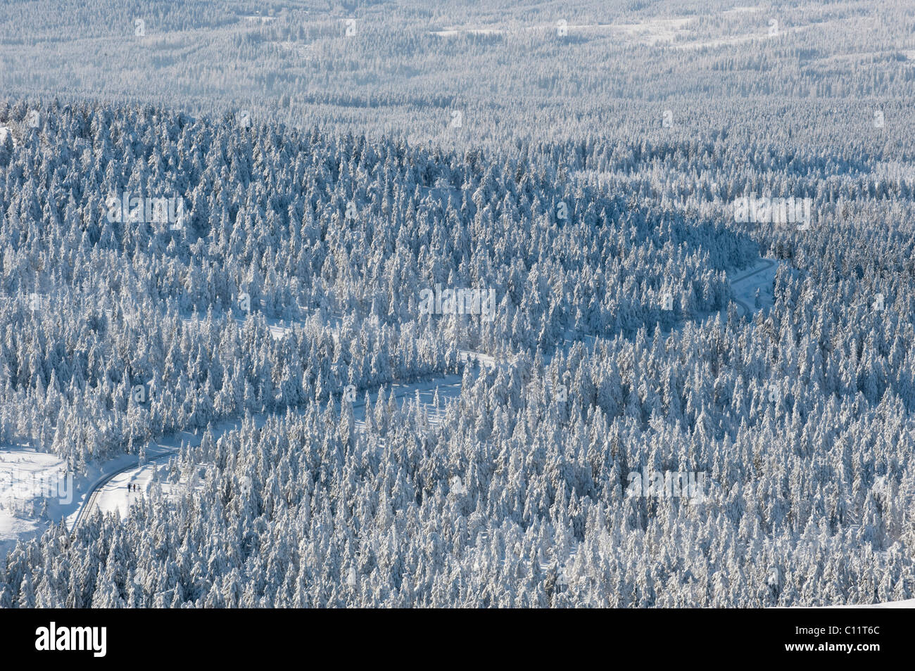 Winter forest on Mt Brocken in the Harz, Blocksberg Mountain, Harz ...