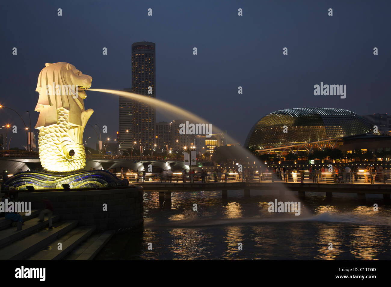 The iconic Merlion at night, Singapore Stock Photo - Alamy