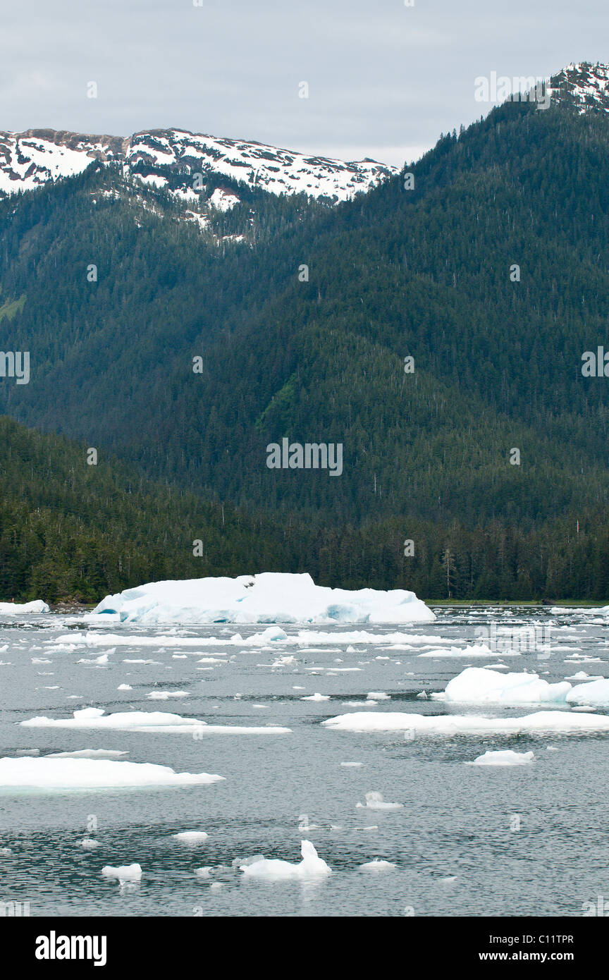 Alaska. Iceberg in LeConte Bay, Southeast Alaska Stock Photo - Alamy