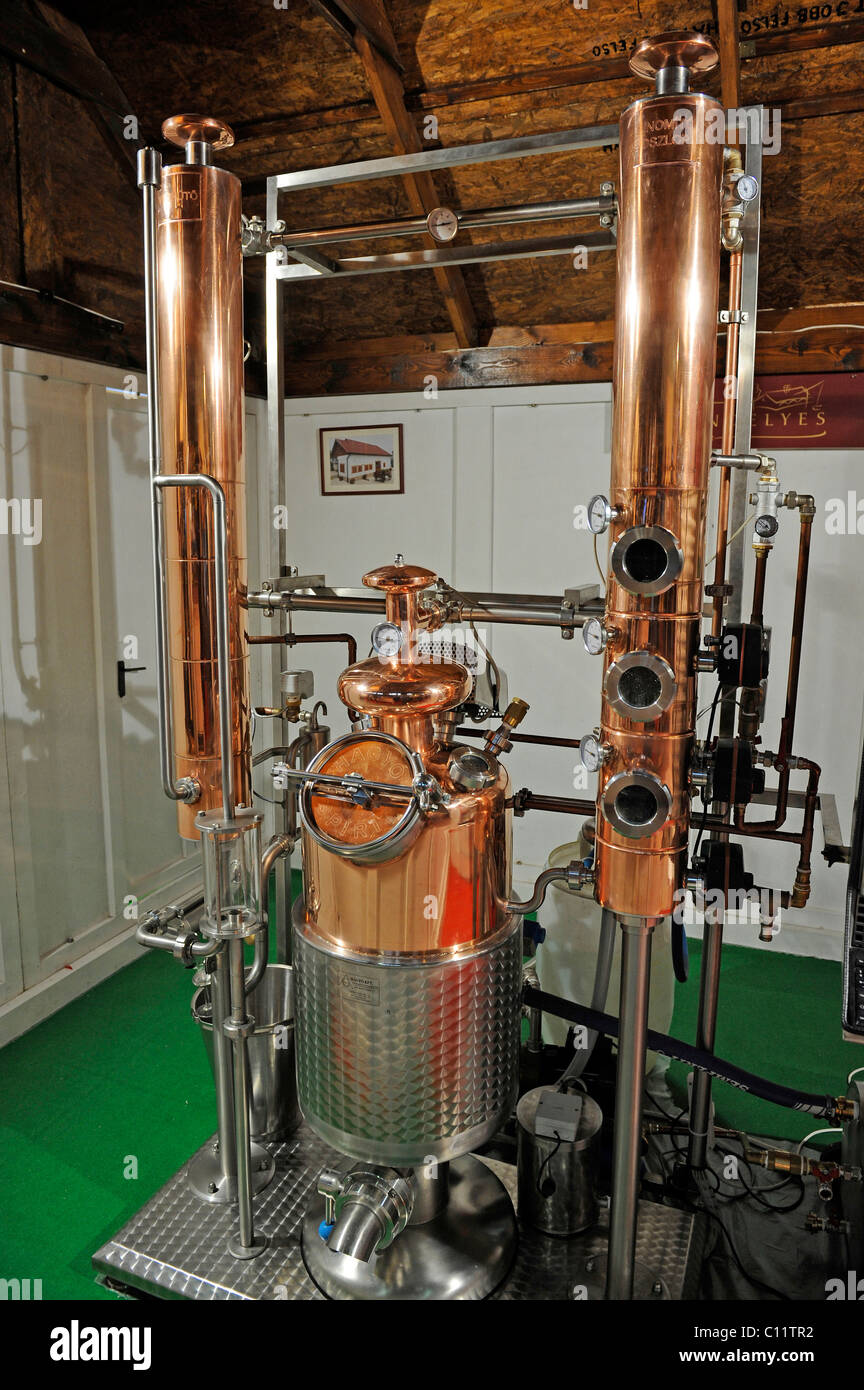 Distillery for burning Palinka fruit brandies, Hungary and Austria ...