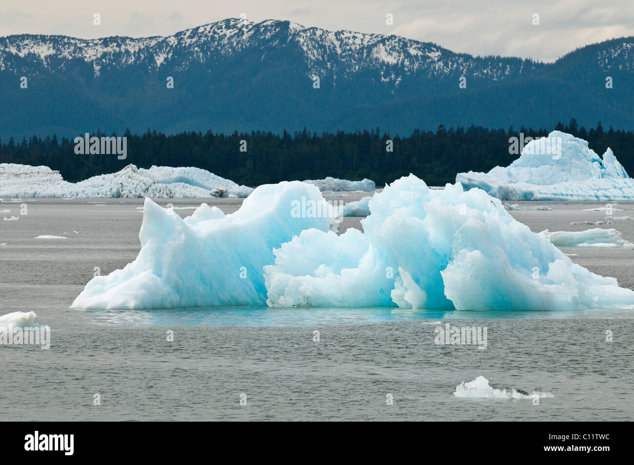 Alaska. Glacier blue ice iceberg in LeConte Bay, Southeast Alaska Stock ...
