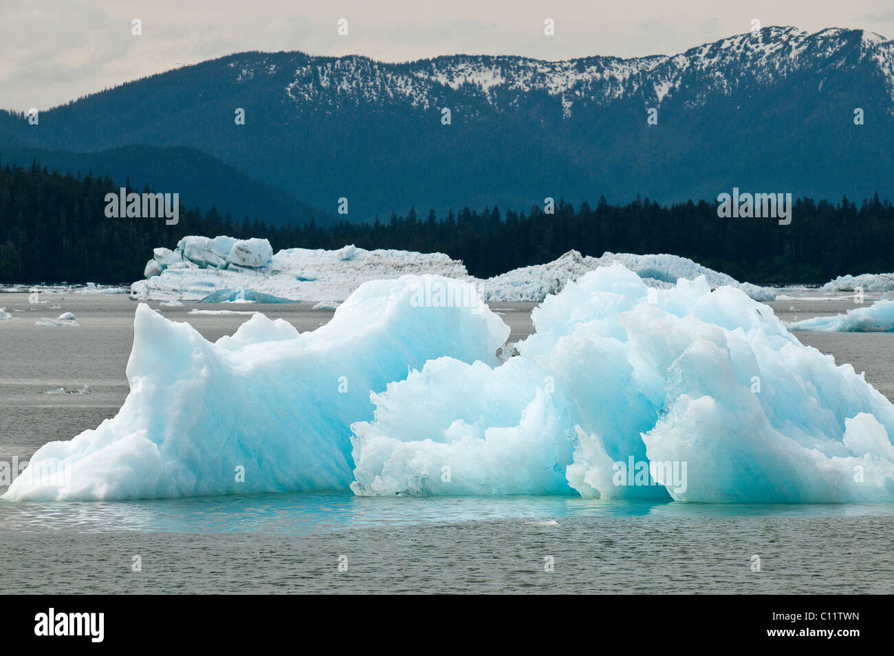 Alaska. Glacier blue ice iceberg in LeConte Bay, Southeast Alaska Stock ...