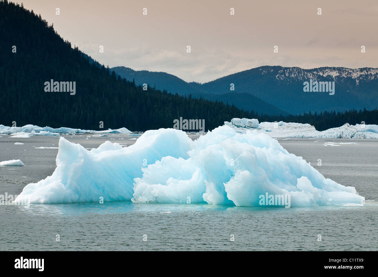 Alaska. Glacier blue ice iceberg in LeConte Bay, Southeast Alaska Stock ...