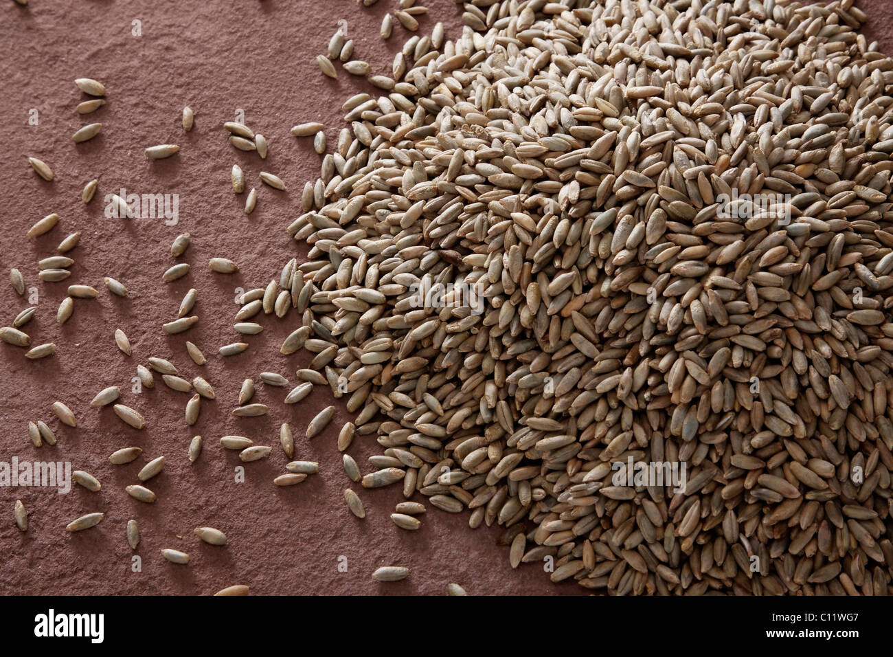 Rye (Secale cereale) on a millstone Stock Photo - Alamy