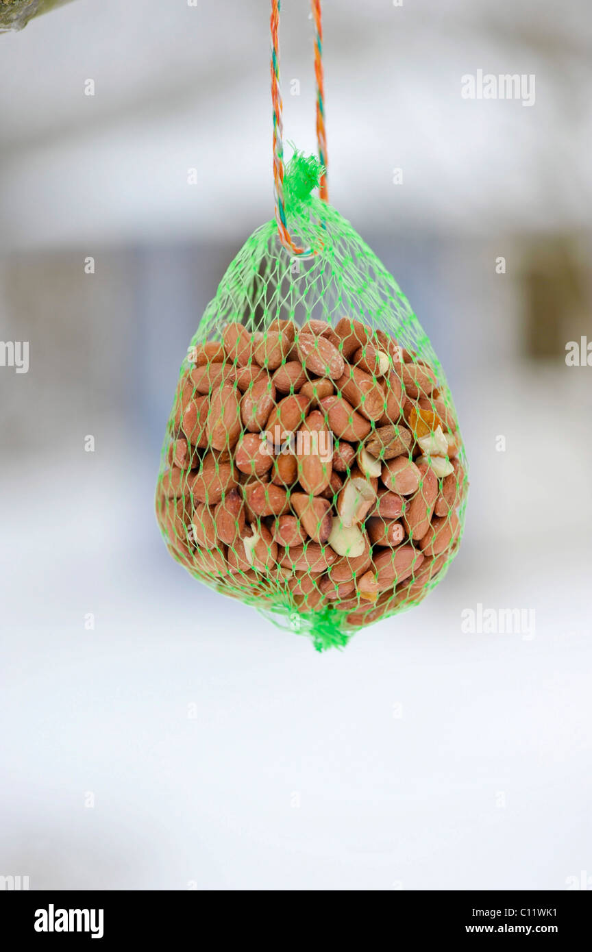 Baseball Bag Of Peanuts