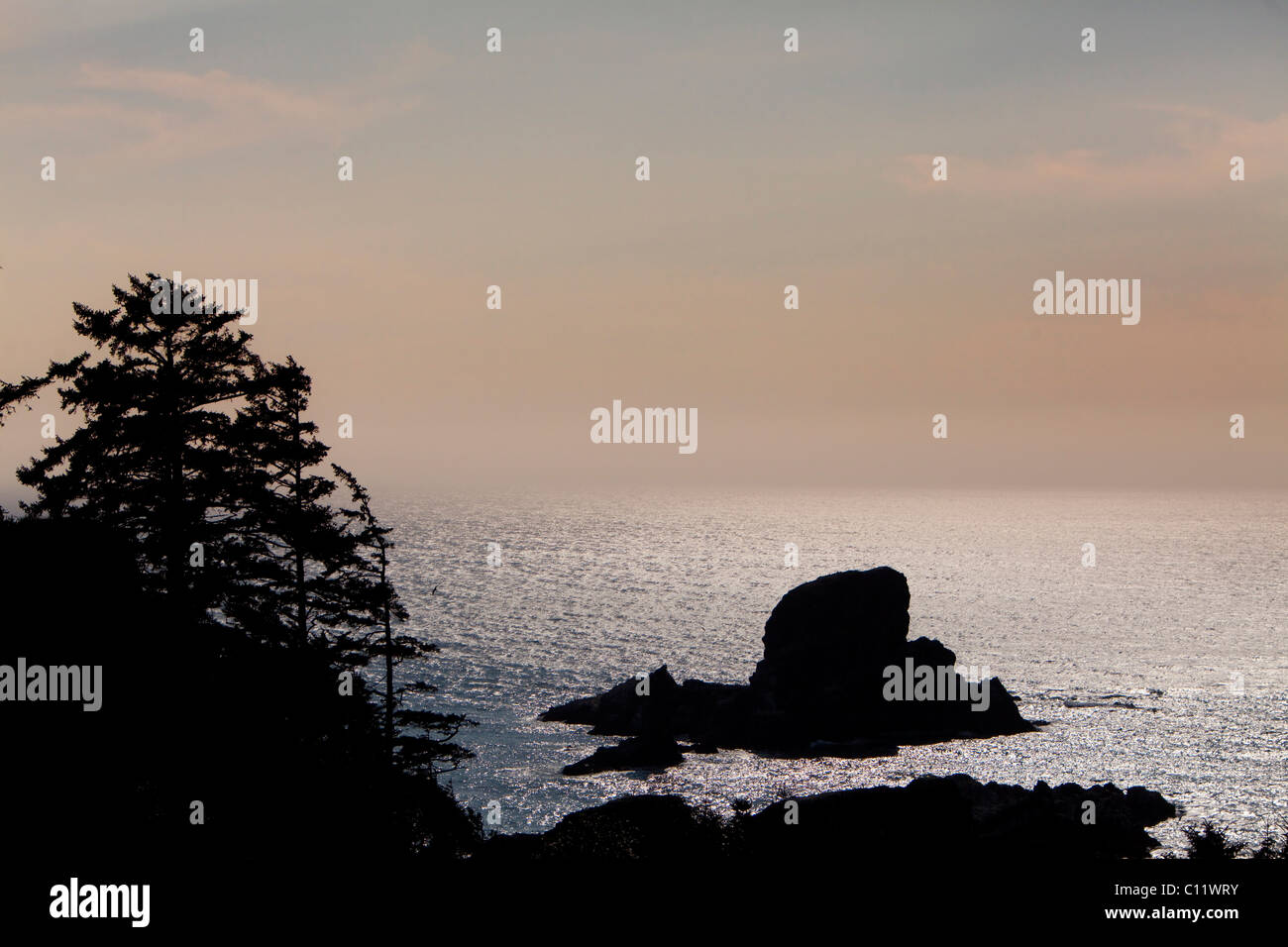 Rocks at Indian Beach, Oregon, USA Stock Photo - Alamy