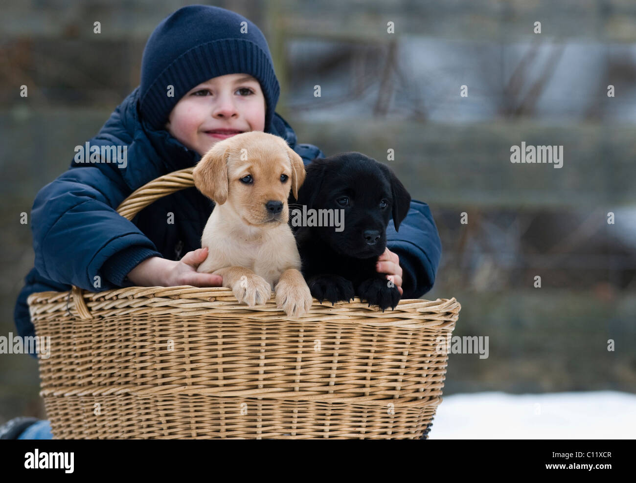 Boy and puppies hi-res stock photography and images - Alamy