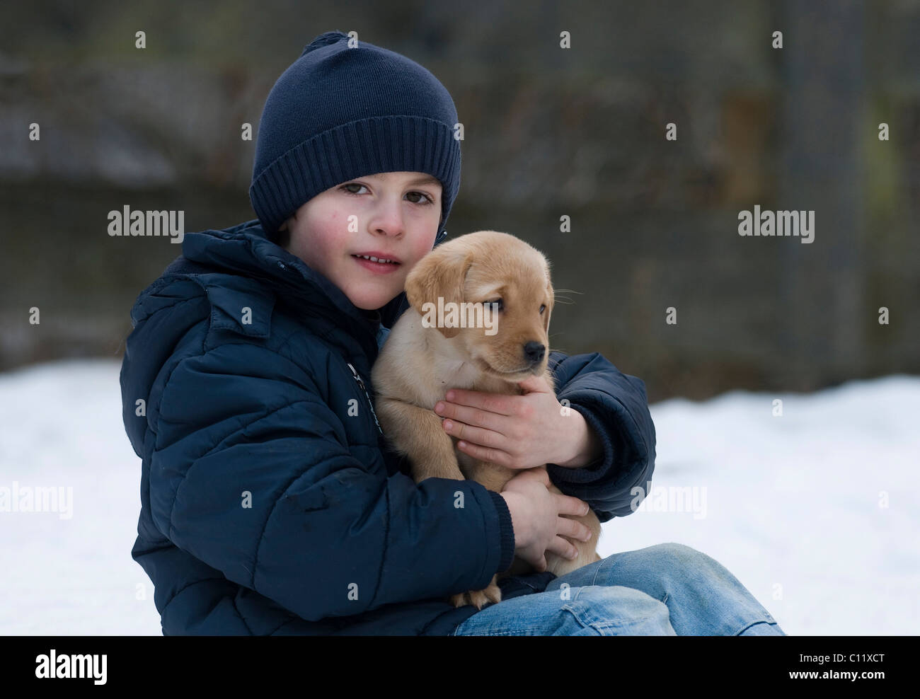 Little boy with a Labrador Retriever puppy (Canis lupus familiaris ...