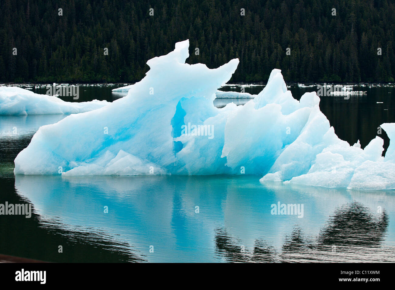Alaska. Glacier blue ice iceberg in LeConte Bay, Southeast Alaska Stock ...