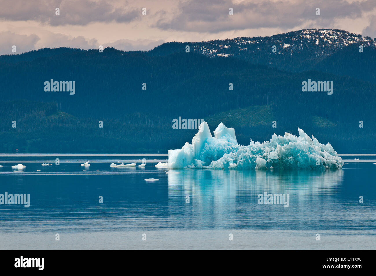 Alaska. Glacier blue ice iceberg in LeConte Bay, Southeast Alaska Stock ...