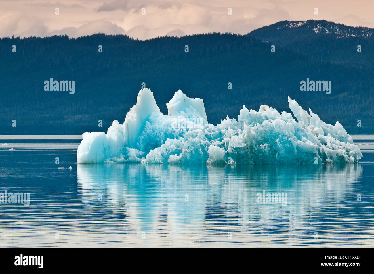 Alaska. Glacier blue ice iceberg in LeConte Bay, Southeast Alaska Stock ...