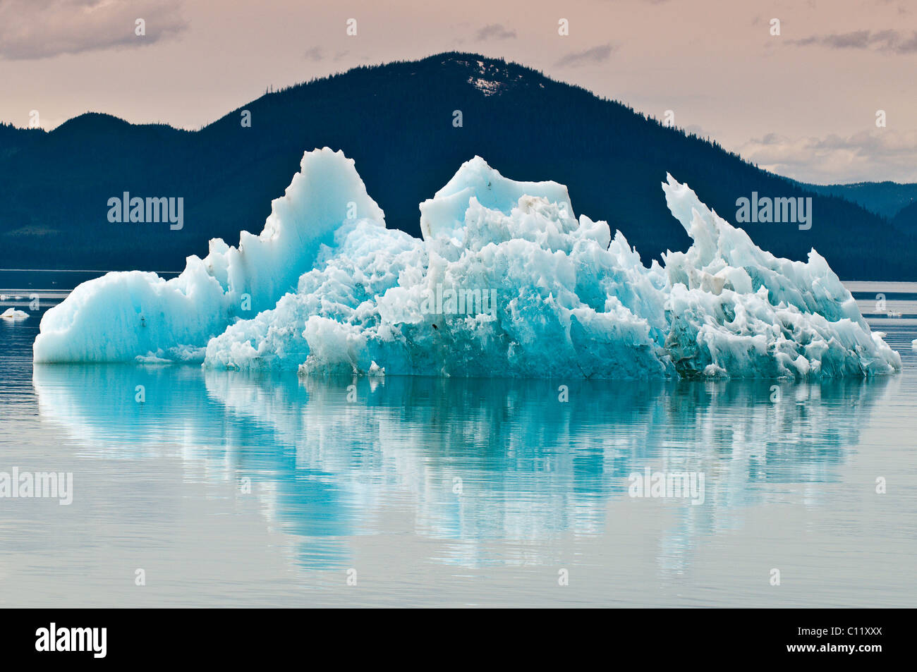 Alaska. Glacier blue ice iceberg in LeConte Bay, Southeast Alaska Stock ...