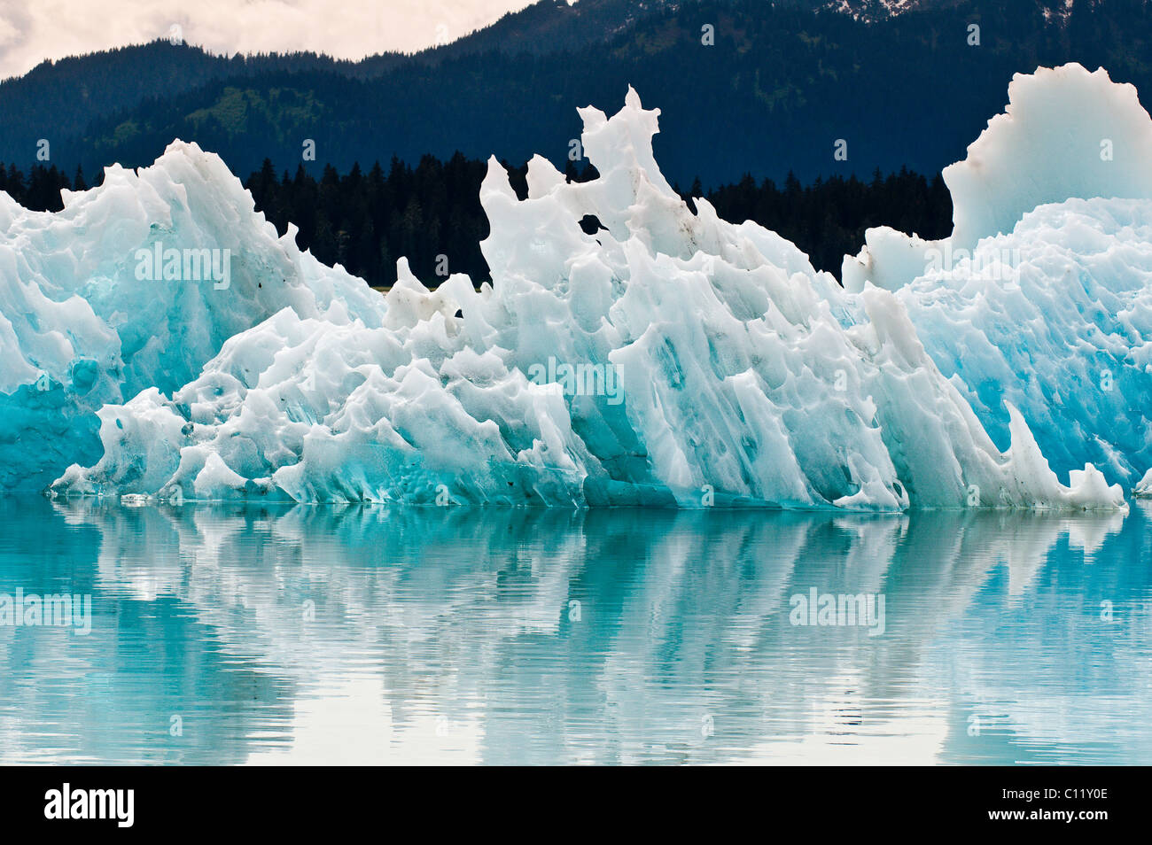 Alaska. Glacier blue ice iceberg in LeConte Bay, Southeast Alaska Stock ...