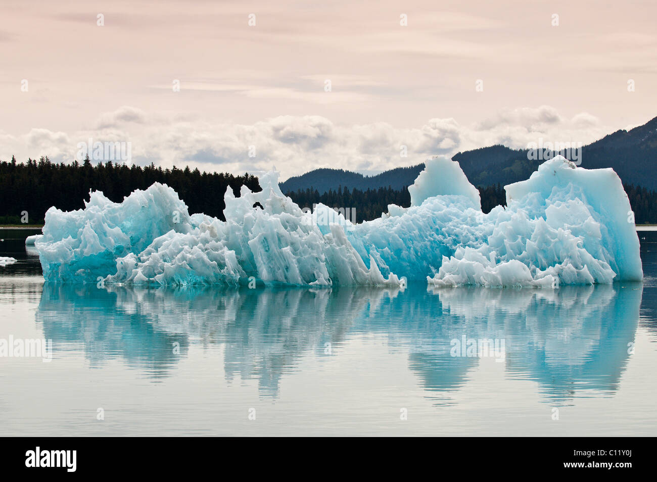 Alaska. Glacier blue ice iceberg in LeConte Bay, Southeast Alaska Stock ...